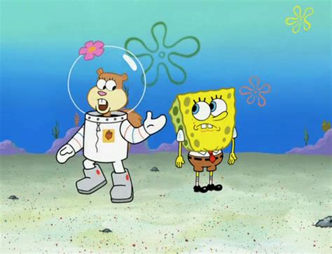 Spongebuddy Mania Spongebob Episode To Squarepants Or Not To