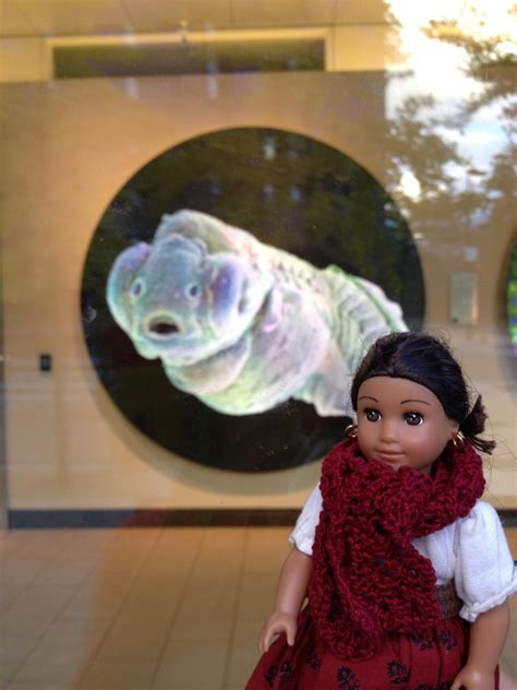 Lissie And Lilly Mini Josie At Mit In Cambridge Ma