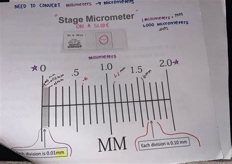 Micro Lab Calibration Of The Ocular Micrometer 3 2 Flashcards Quizlet