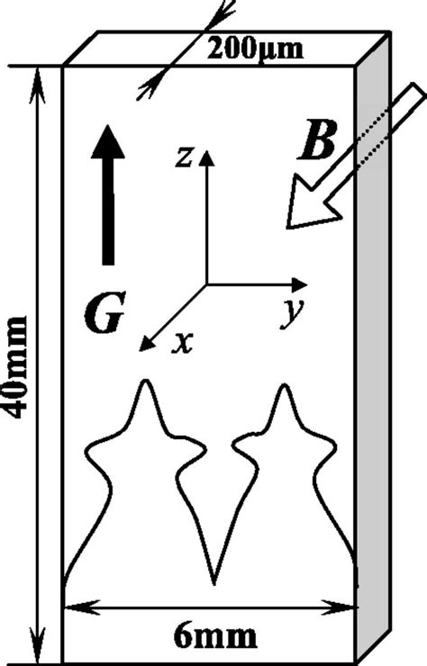 Thermoelectric Magnetic Force Acting On The Solid During Directional Solidification Under A