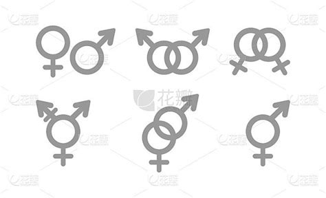 性别符号的平向量集合