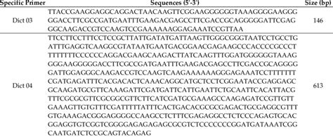 Nucleotide Sequences Of The Sample Download Scientific Diagram