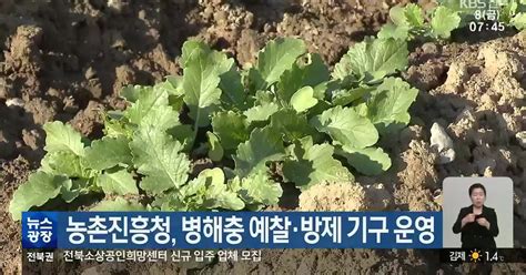 농촌진흥청 병해충 예찰·방제 기구 운영