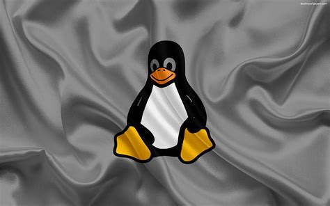 Linux Penguin Logo