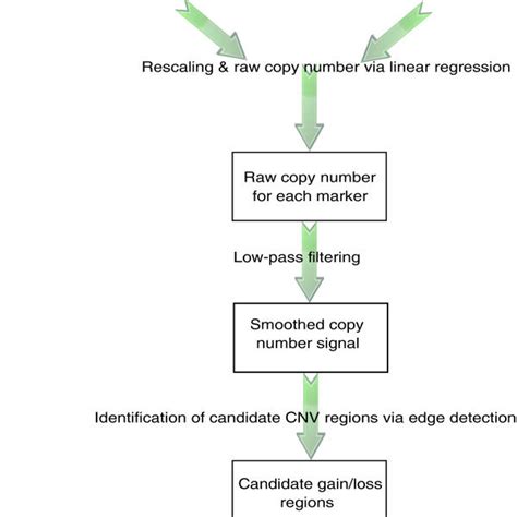 Overview Of The Proposed Cnv Detection Algorithm Download Scientific Diagram