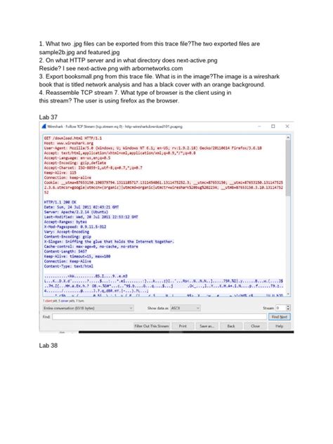 Wireshark Chapter 6 Labs And Challenge Pdf
