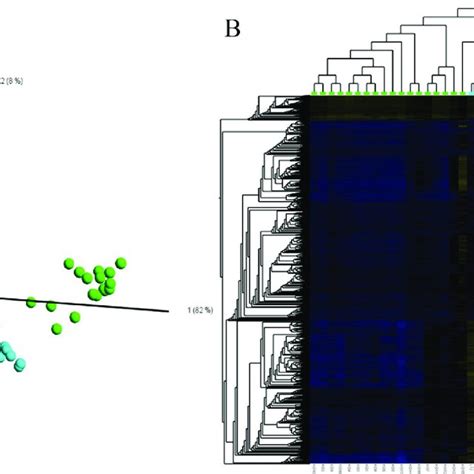 Principal Component Analysis A And Hierarchical Cluster Analysis B