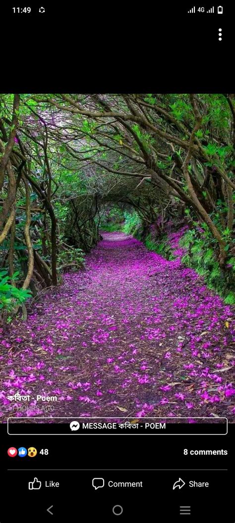 Polytechnic Analysis