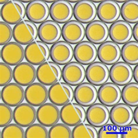 Flow Ez™ Most Advanced Microfluidic Flow Controller Fluigent