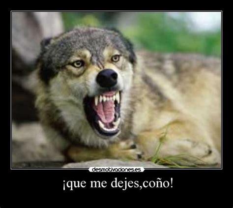 Imágenes y Carteles de TOMAA | Desmotivaciones