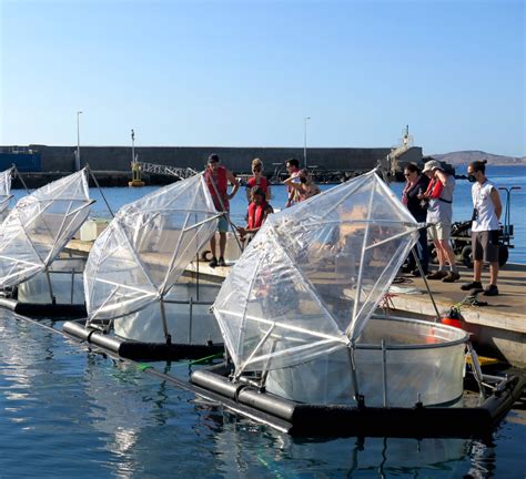 Increasing Alkalinity Could Counter Co2 Acidity