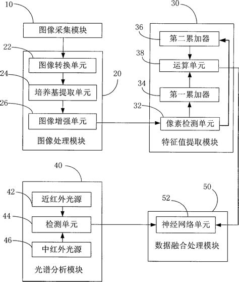 Near Infrared Spectrum And Microscopic Bacterial Plaque Area Data Fusion Based Pork Freshness