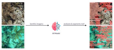 Coral Reefs Health Monitoring Earthtoolsmaker