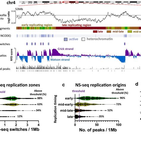 Comparison Of Replication Timing And Dna Breaks A Visualization Of Download Scientific Diagram