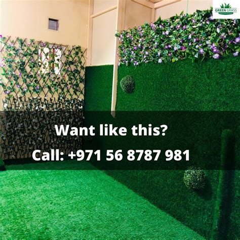 Green Grass Store - Dubai Review | Rate your customer experience