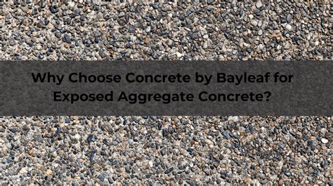 Exploring Exposed Aggregate Concrete With Concrete By Bayleaf