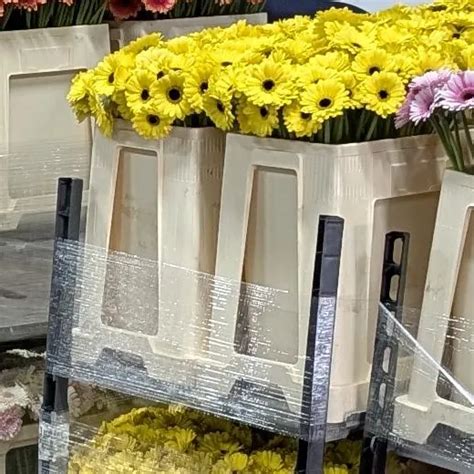 Wat Is Een Fust Floritrack