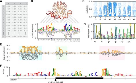 logomaker beautiful sequence logos in python pmc