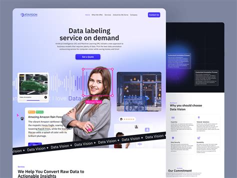 Data Labeling UI Design On Behance