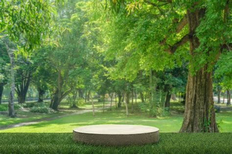 야외에서 콘크리트 연단 탁상 바닥 신선한 녹색 잎 열대 우림 자연 풍경 Backgroundhealthy 천연 제품 현재 배치 받침대 카운터 디스플레이 봄 여름 개념 0명에