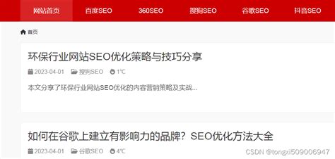 站长seo工具，网站seo优化 Csdn博客