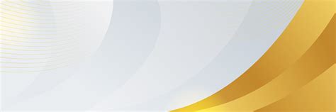 추상적인 흰색 회색과 금색 배경 포스터와 다이나믹 라인 웨이브 기술 네트워크 벡터 일러스트레이션 사실적인 가벼운 모양으로