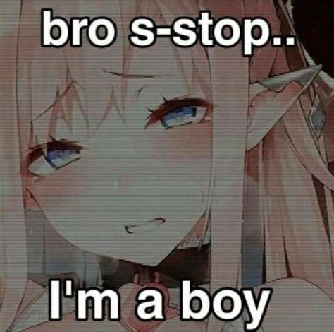 Bro S Stop Im A Boy Ifunny