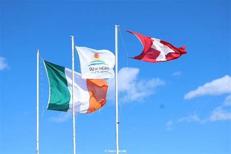 Tom Elmes On Linkedin Developmentfocused Continuousimprovement