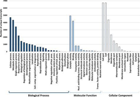 Functional Annotation Of The Assembled Transcripts From Poinsettia