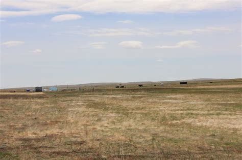 Малын тэжээлийн тариалалтаа түшиглэн эрчимжсэн мал аж ахуйг хөгжүүлнэ