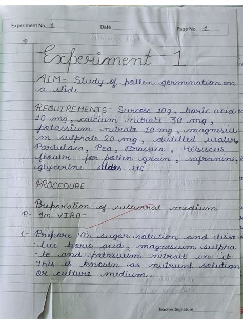 Class 12 Practicals Pdf