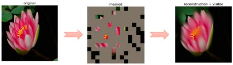 Horticulturae Free Full Text Research On A Flower Recognition