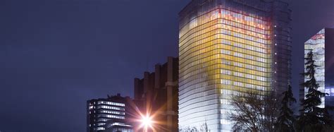 Metallic Constructions