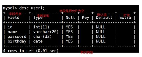 Mysql表操作 Csdn博客