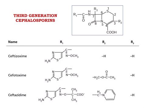 Cephalosporin Beta Lactam Antibiotic Ppt