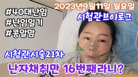 시험관브이로그 난자채취만 16번째라니언제 끝날란지 Youtube