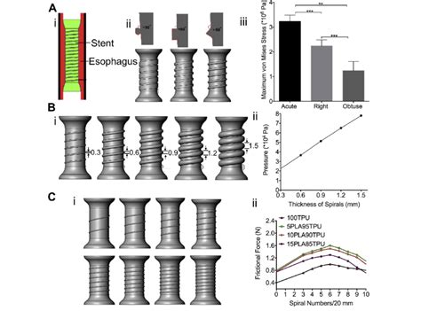 Finite Element Analysis Of Platpu Stents A The Simulation Model
