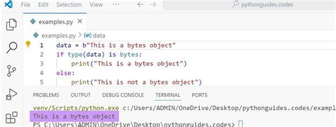 How To Check If A String Is Bytes In Python