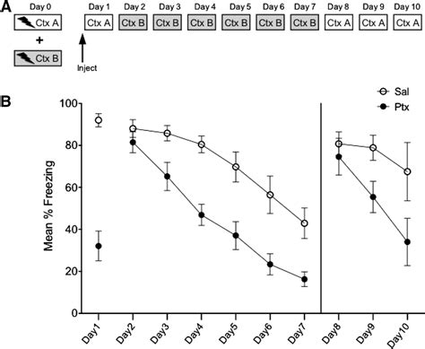 Activation Of The Infralimbic Cortex In A Fear Context Enhances Extinction Learning
