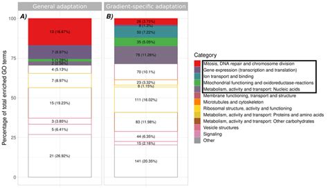 General And Gradient Specific Adaptations During Range Expansion