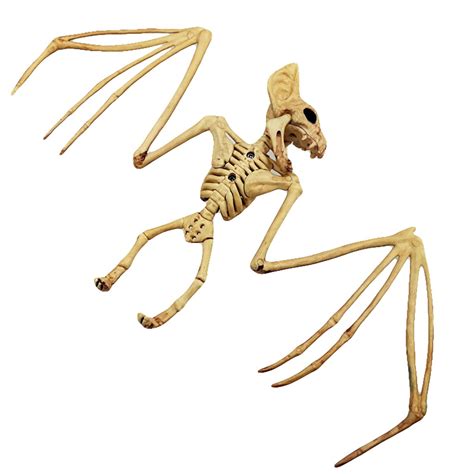 Halloween Scorpion Spider Mouse Skeleton Halloween Vicedeal