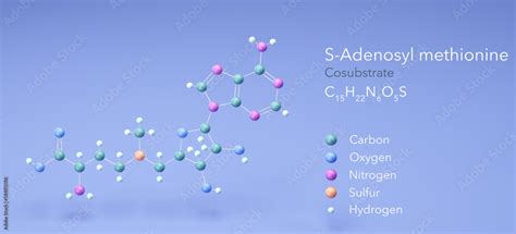 S Adenosyl Methionine Molecule Molecular Structures Cosubstrate 3d Model Structural Chemical