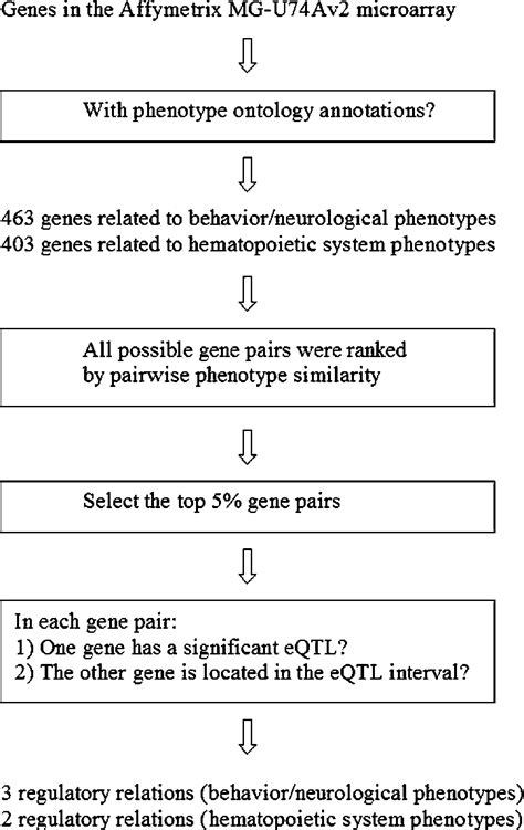 The Procedure For Identifying Gene Regulatory Relationships Download Scientific Diagram