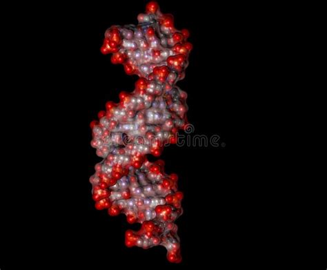 Rna Code Stock Illustrations 2 388 Rna Code Stock Illustrations