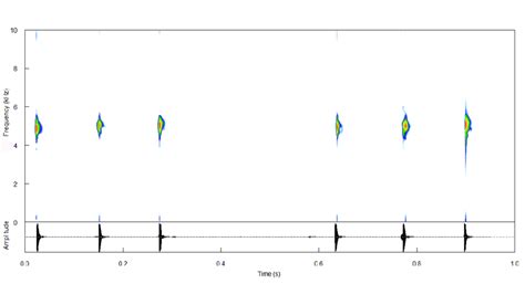 spectrogram top and amplitude of the waveform bottom from a two