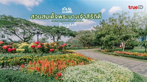 สวนสมเด็จพระนางเจ้าสิริกิติ์ ที่เที่ยวกรุงเทพ สวนสวยกลางเมือง ย่านจตุจักร