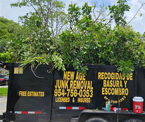 Tree Trimming Dos And Don Ts Expert Advice For Pruning Success