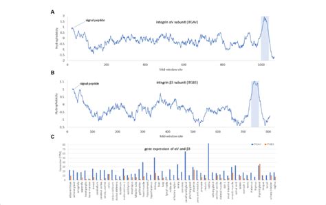 Hydrophobicity Plot And Gene Expression For The Two Subunits αv And