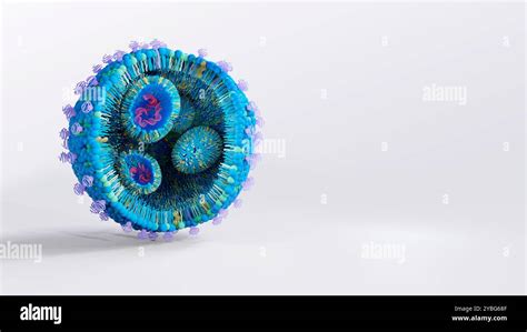 Lipid Nanoparticle Structure Illustration Lipid Nanoparticles Lnps