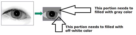 Generate Cropped And Masked Iris Eye Image Closed Opencv Qanda Forum
